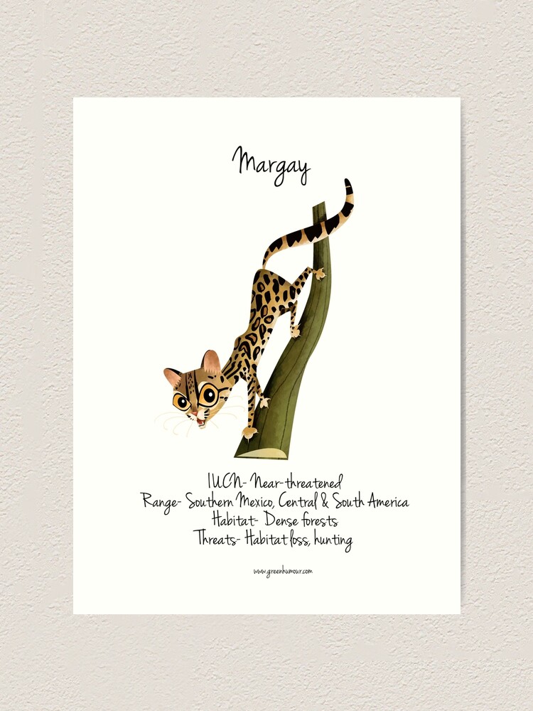 "Margay" Art Print for Sale by rohanchak | Redbubble