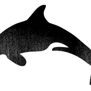 "Worn stencil of jumping killer whale (Orca)" Photographic Print for ...