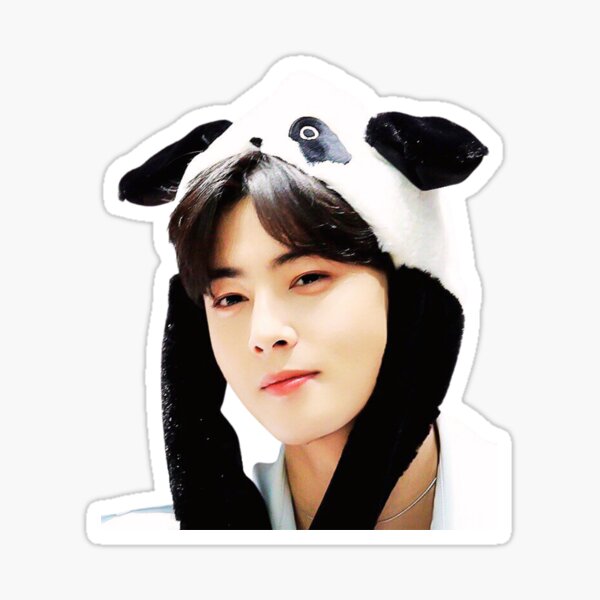 "Cha Eun Woo " Sticker for Sale by BrentShoppe | Redbubble