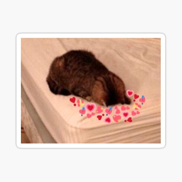 "cat in love meme" Sticker by valwerty | Redbubble