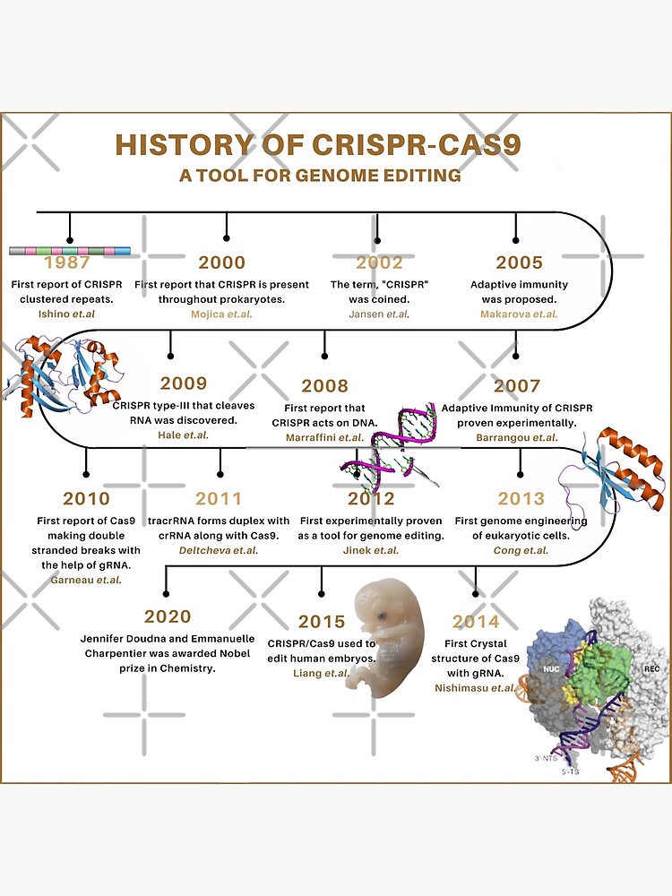 Lámina fotográfica «HISTORIA DE CRISPR-CAS9: Una herramienta para la ...