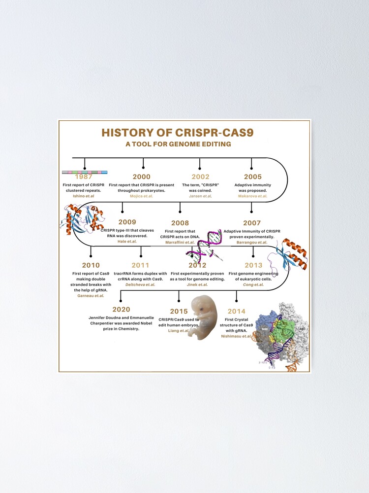 "HISTORY OF CRISPR-CAS9: A tool for genome editing" Poster for Sale by ...