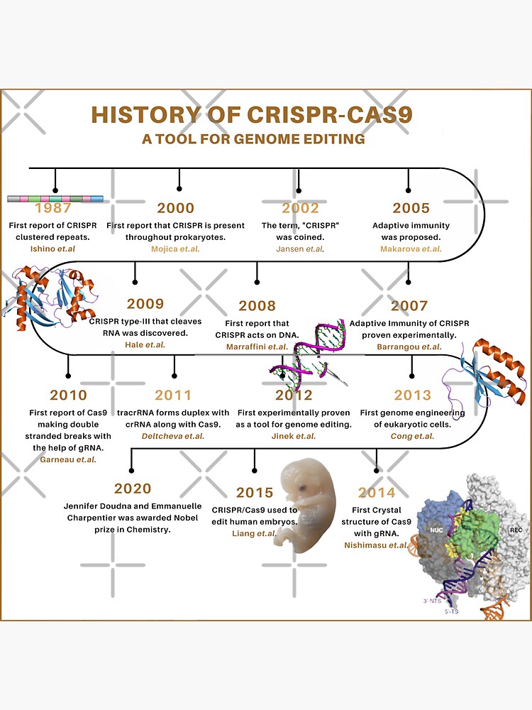 "HISTORY OF CRISPR-CAS9: A tool for genome editing" Sticker for Sale by ...