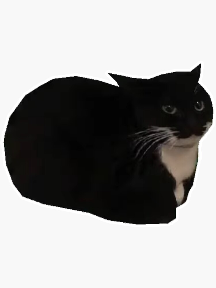 "Maxwell the Cat / Spinning Cat" Sticker for Sale by dav0hh | Redbubble