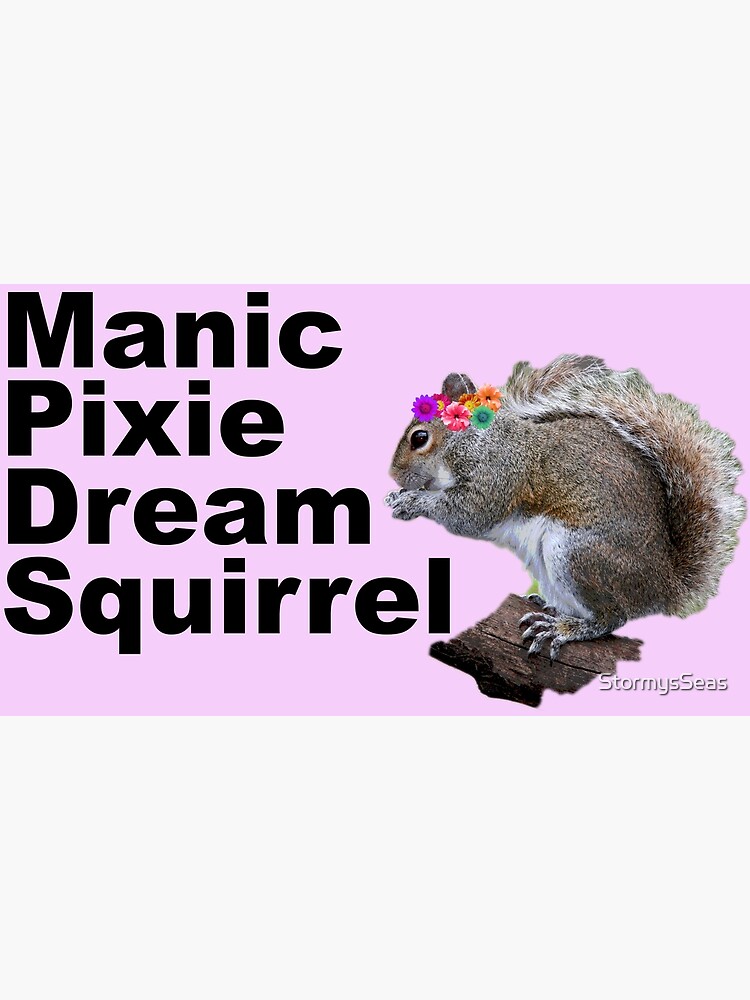"Manic Pixie Dream Squirrel " Canvas Print for Sale by StormysSeas ...