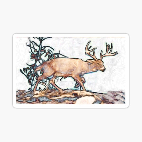"MULE DEER" Sticker for Sale by BOLLA67 | Redbubble