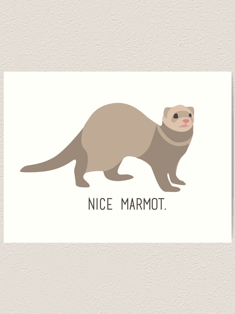 "Nice Marmot - The Big Lebowski" Art Print for Sale by thesadsquatch ...