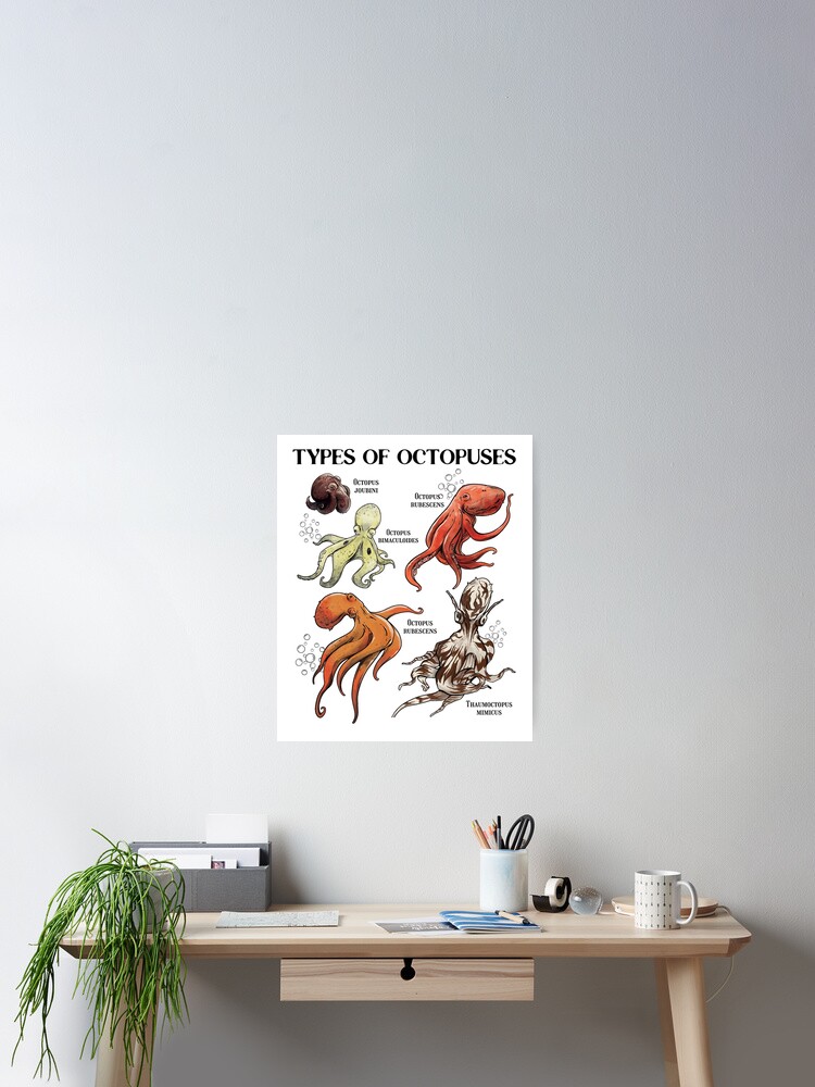 "Types of Octopuses" Poster for Sale by andyzdesigns | Redbubble