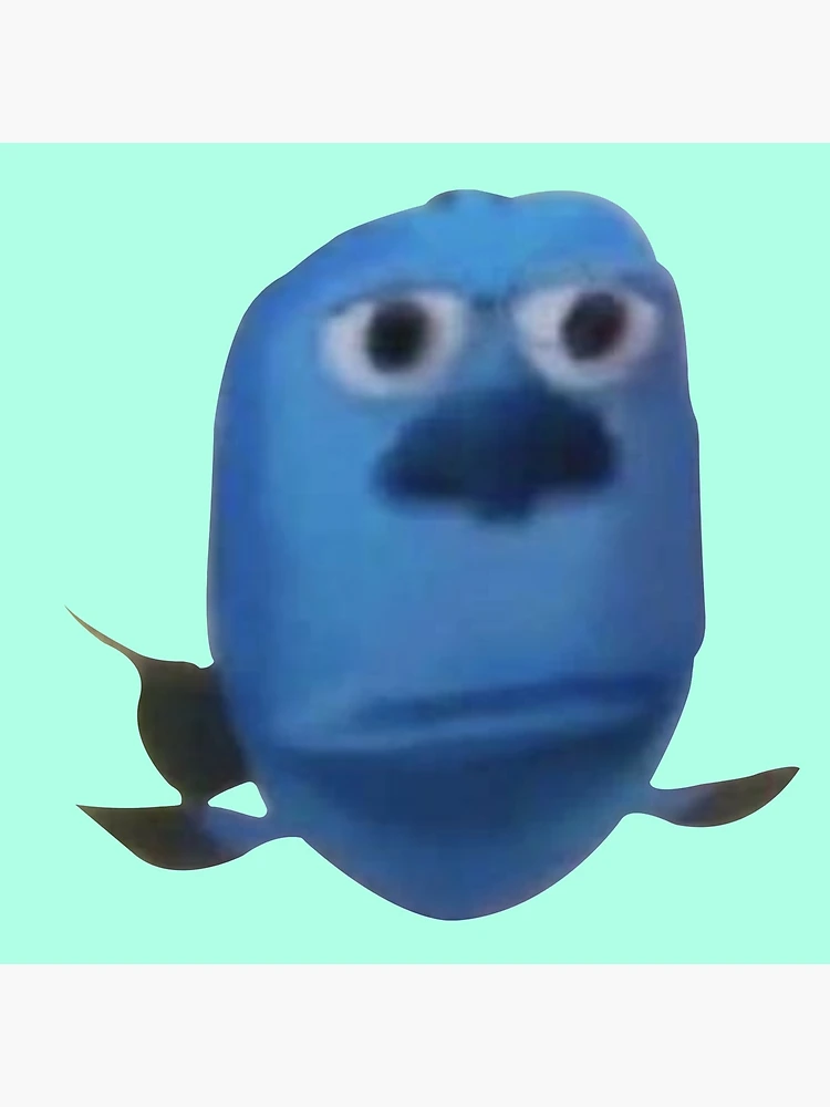 Blank Dory Memes