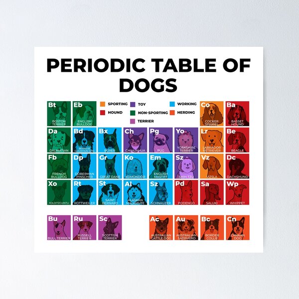 "Periodic Table of Dogs " Poster for Sale by CreativeFit | Redbubble