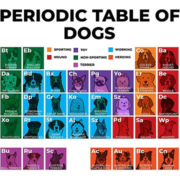 "Periodic Table of Dogs " Poster for Sale by CreativeFit | Redbubble