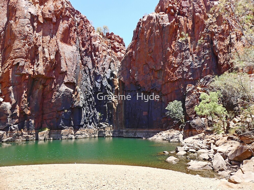 "Python Pool" by Graeme Hyde | Redbubble