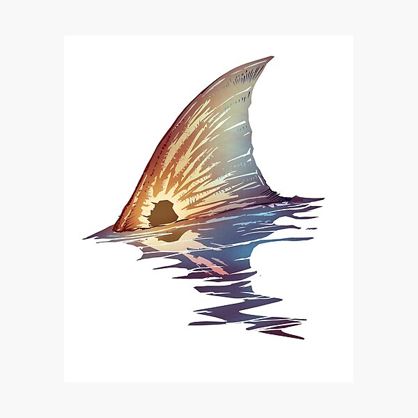 "Tailing Redfish | Redfish Tail" Photographic Print by blueshore ...