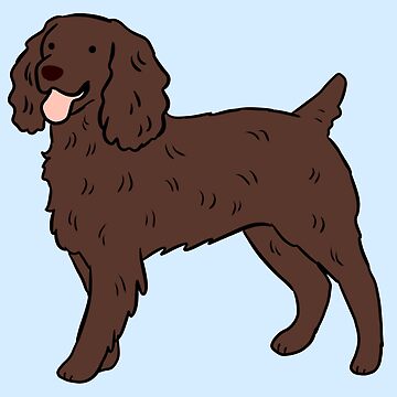 "Spaniel boykin dog cute illustration " Sticker for Sale by ...