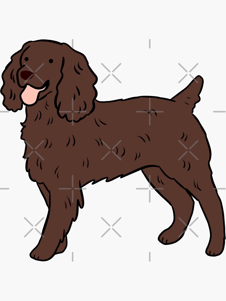"Spaniel boykin dog cute illustration " Sticker for Sale by ...