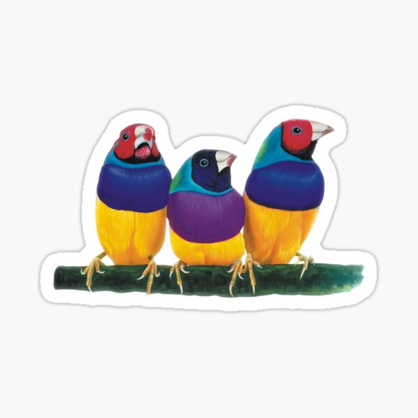 "ViewSonic logo birds" Sticker for Sale by PixelFaced | Redbubble