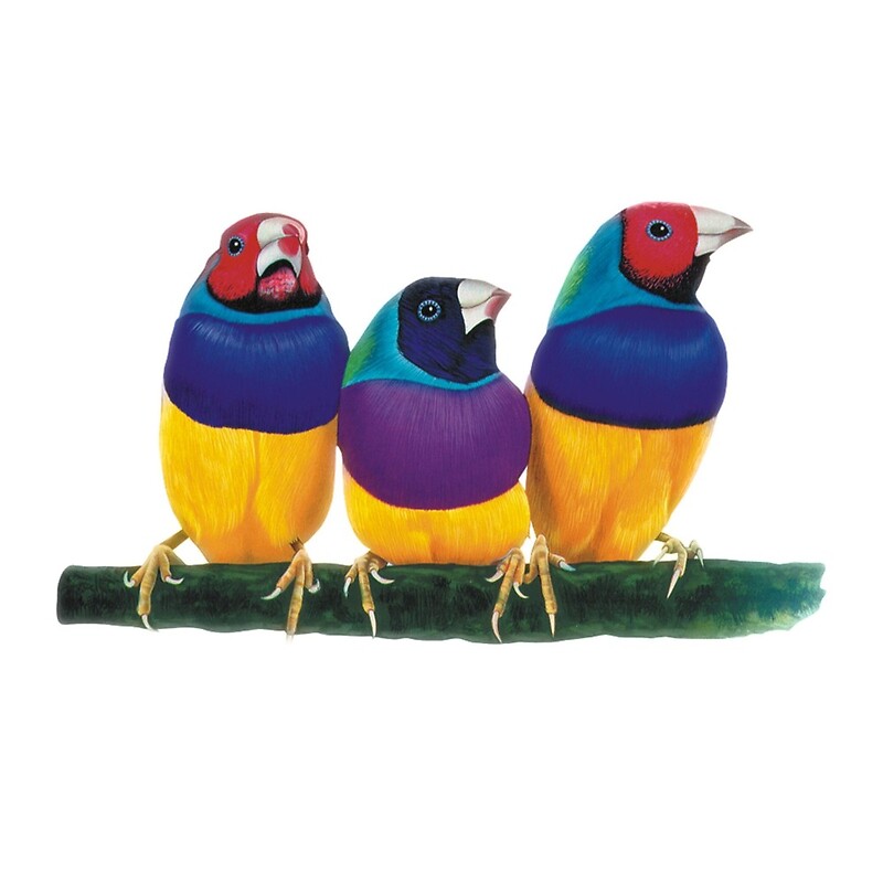 "ViewSonic logo birds" by PixelFaced | Redbubble