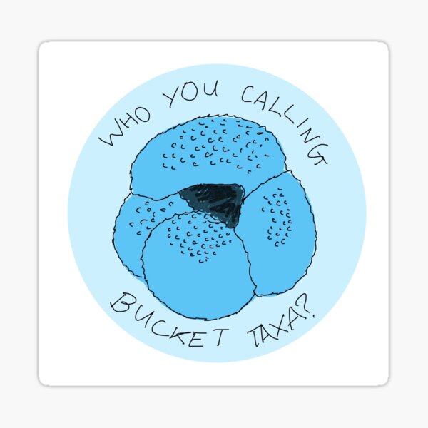 "Angry D. venezuelana" Sticker for Sale by Foxacast | Redbubble