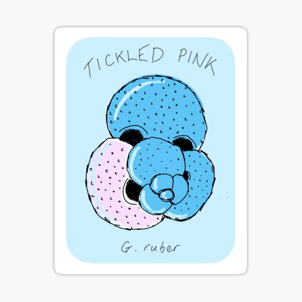 "Tickled (ruber) pink" Sticker for Sale by Foxacast | Redbubble