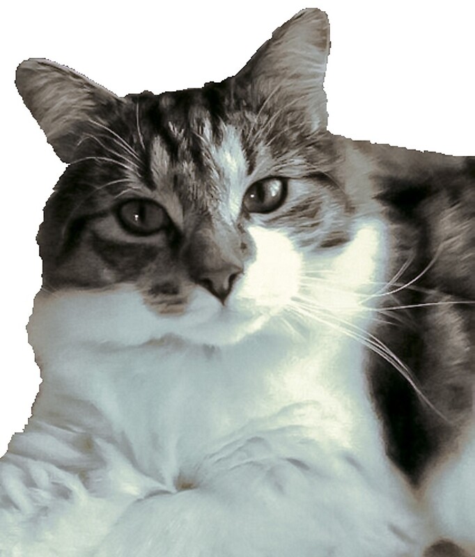 "Roy the cat" by SDW Designs | Redbubble