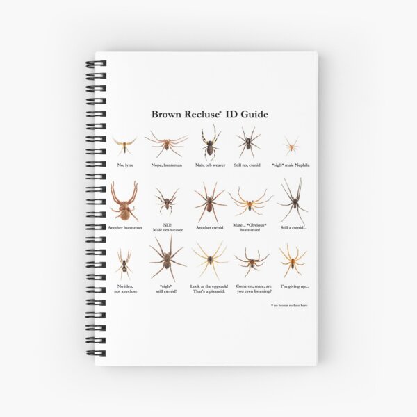 "Brown Recluse ID Guide" Journal for Sale by ArthroLove | Redbubble