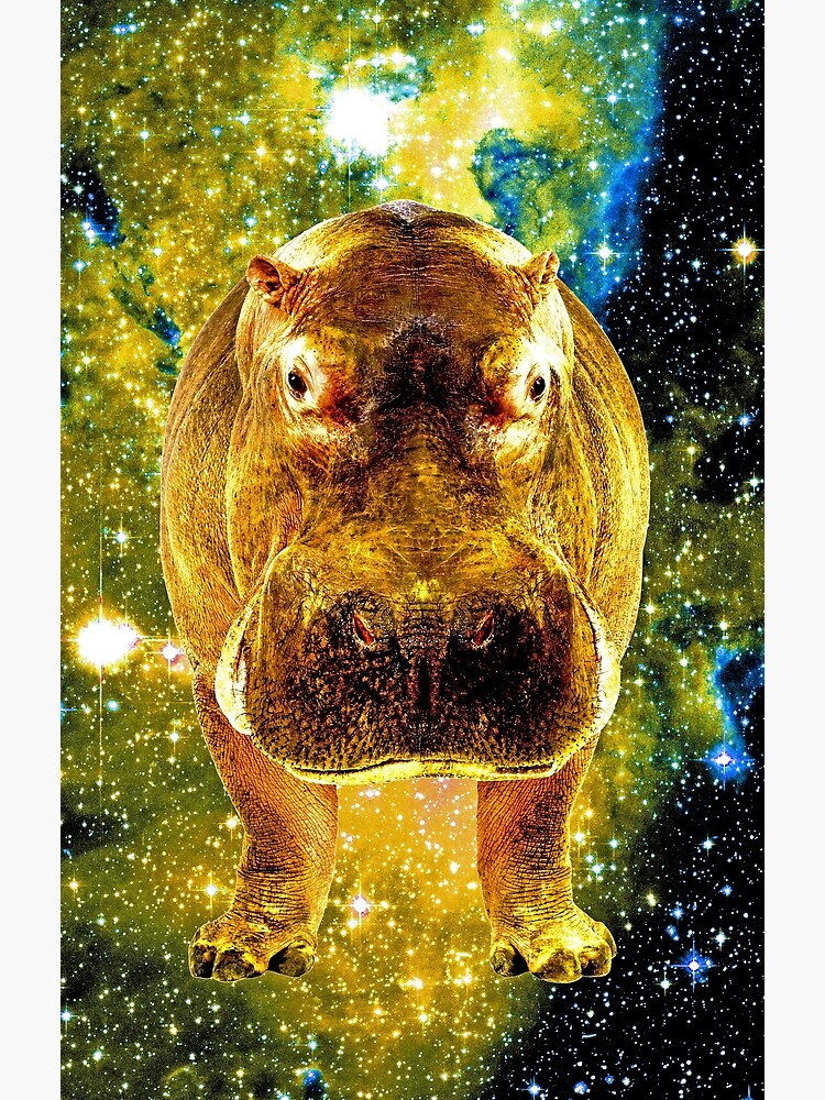 "Space Hippo" Poster for Sale by lord-sativa | Redbubble