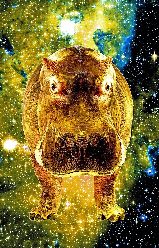 "Space Hippo" by lord-sativa | Redbubble
