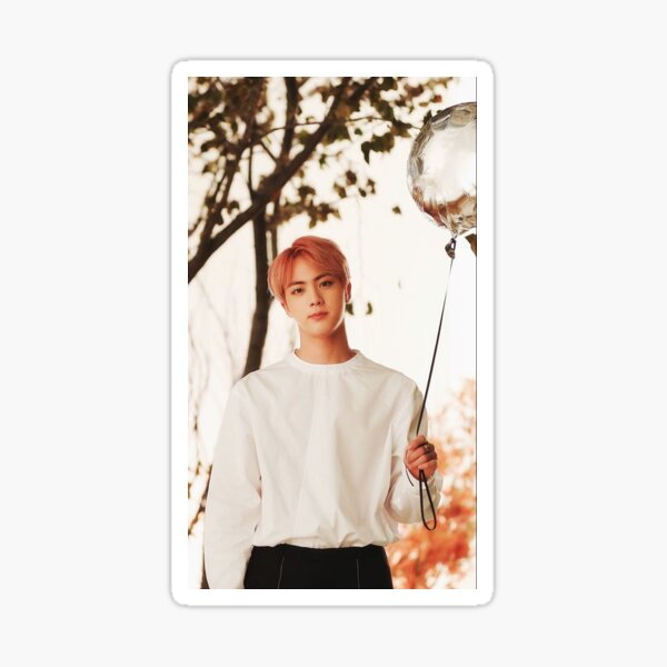 "jin bts sticker" Sticker for Sale by Sehun94 | Redbubble