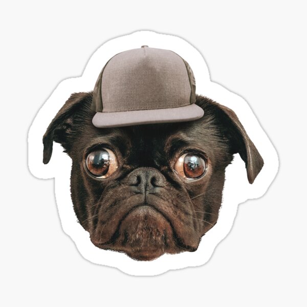 "Dog memes" Sticker for Sale by NoelNimmad | Redbubble