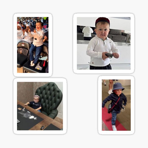 "Hasbulla Sticker Pack" Sticker for Sale by BitternotMeme | Redbubble