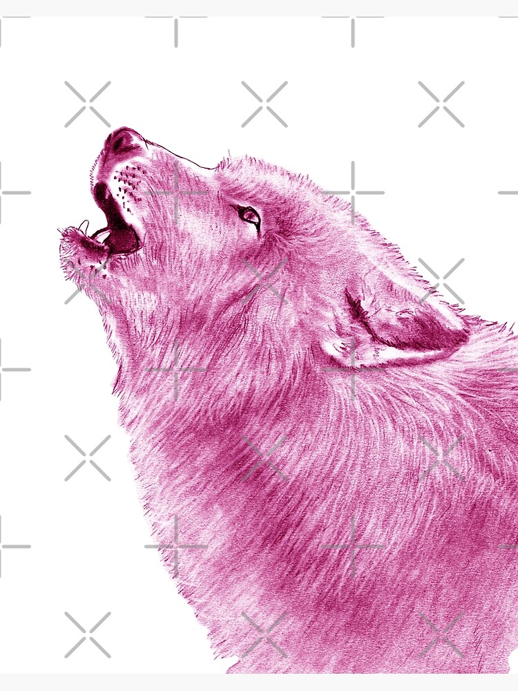 Dibujo De Lobo En Color Página De Coloración De Lobos Para Animales
