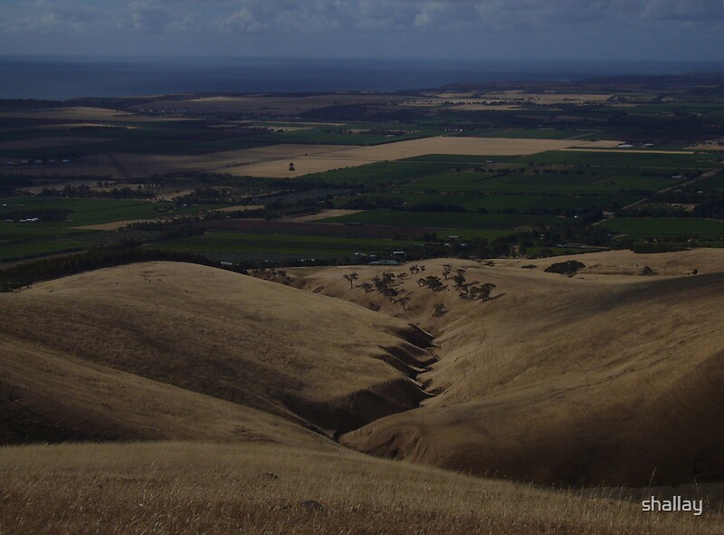 "off Loud's Hill Road, Sellick's Hill Range" by shallay | Redbubble