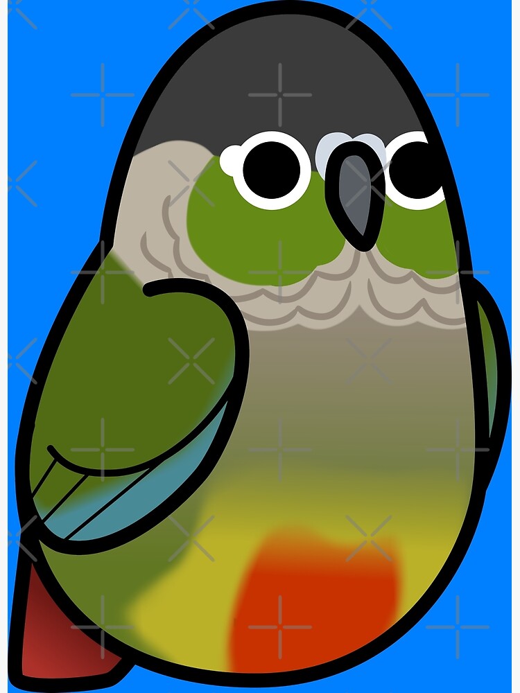 "Too Many Birds! - Green Cheeked Conure" Poster by MaddeMichael | Redbubble
