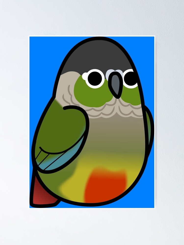 "Too Many Birds! - Green Cheeked Conure" Poster by MaddeMichael | Redbubble