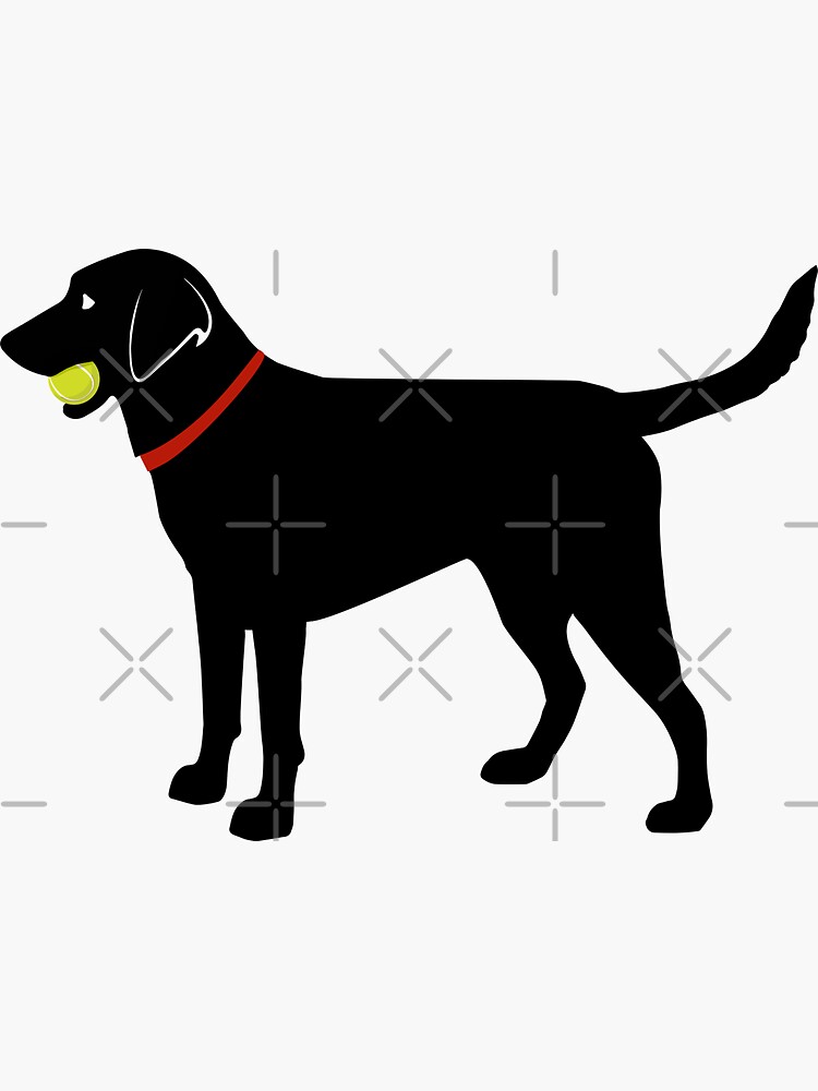 "Labrador Retriever Fetch, Black Lab Play Ball" Sticker for Sale by ...