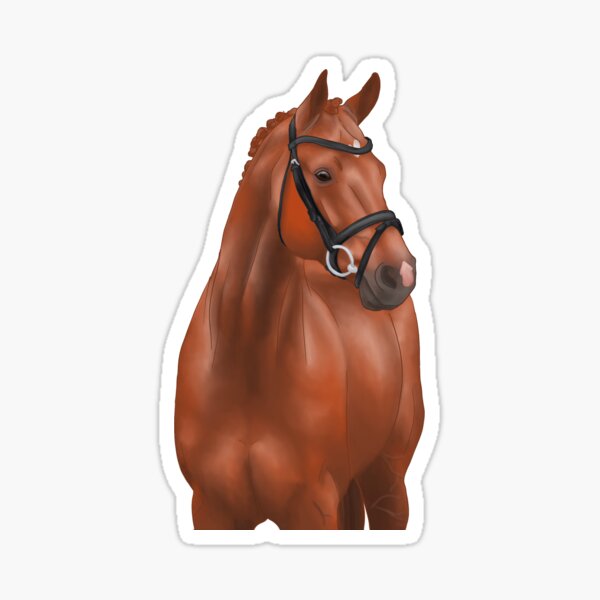 "Chestnut Thoroughbred Mare" Sticker for Sale by and-then-some | Redbubble