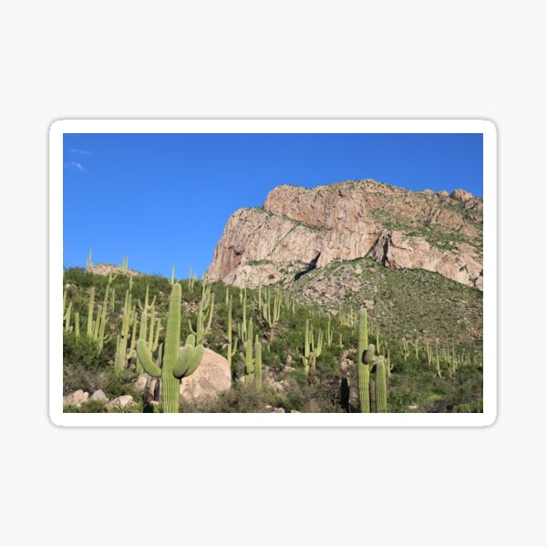 "Saguaro Cacti And Rugged Mountains" Sticker for Sale by simonjayphotos | Redbubble