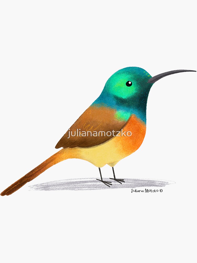 "Orange Breasted Sunbird" Sticker for Sale by julianamotzko | Redbubble