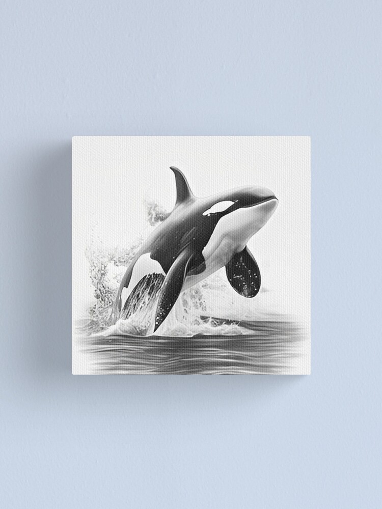Orca Pencil Drawing Jumping Orca On Black Paper By Lineke Lijn On