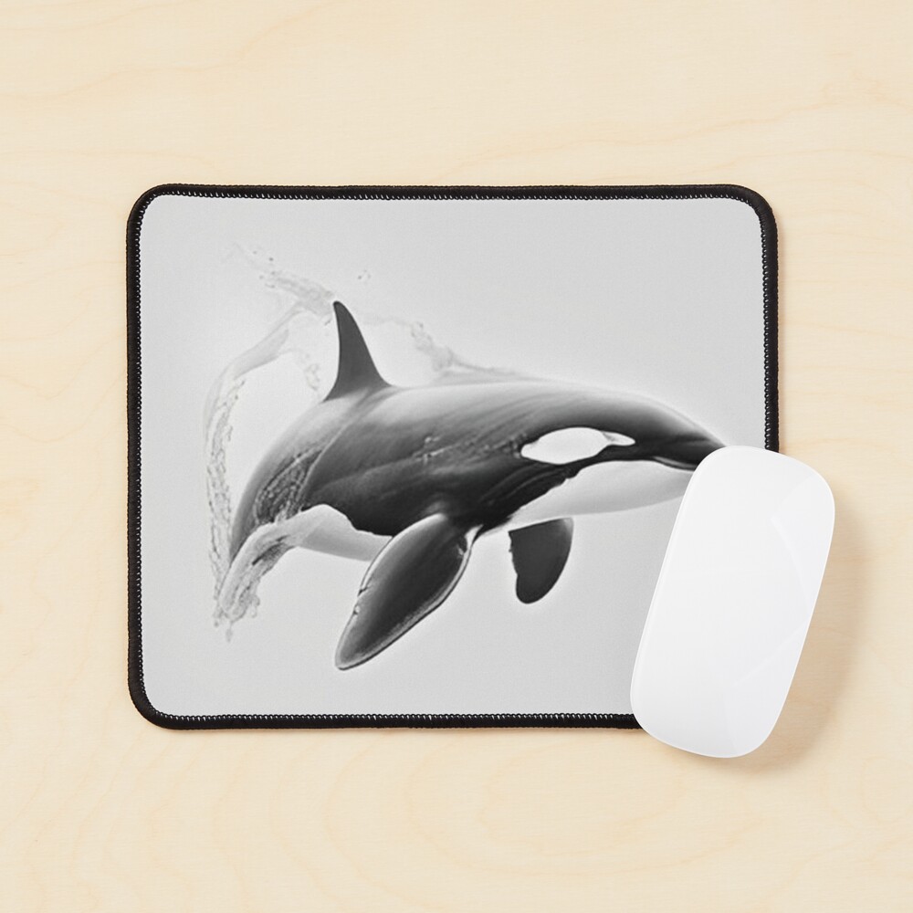 "Black and white Orca pencil drawing" Art Print for Sale by Pencil-Art ...