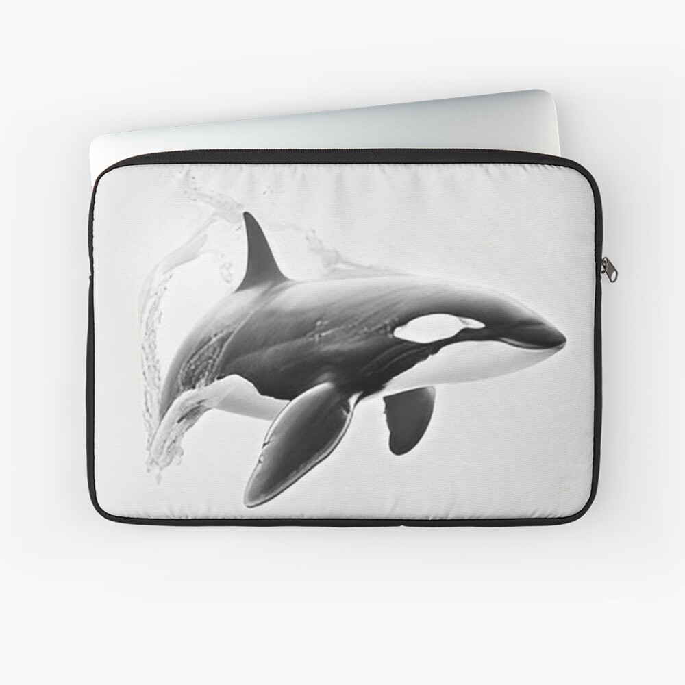 "Black and white Orca pencil drawing" Art Print for Sale by Pencil-Art ...