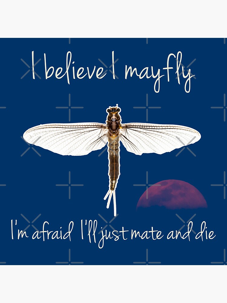 "I believe I mayfly!" Sticker for Sale by ArthroLove | Redbubble