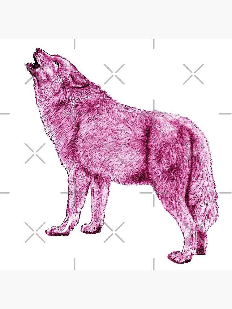 Pink Wolf Drawing
