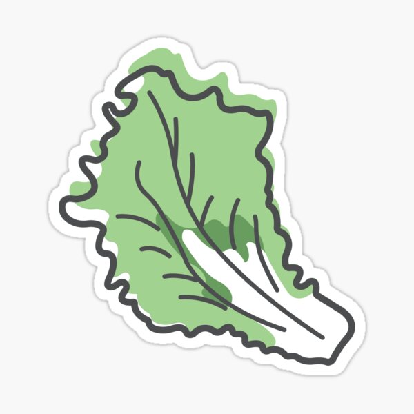 "Lettuce" Sticker for Sale by GWgraphics | Redbubble