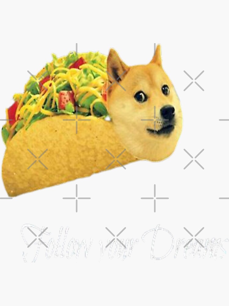 Taco Doge Follow Your Dreams