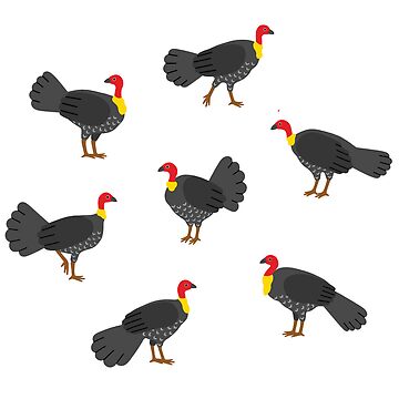 "Brush Turkeys" Sticker for Sale by Kiki-Bibi | Redbubble