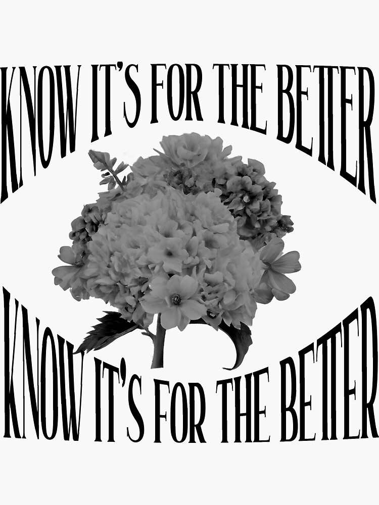 "Know it’s for the better / phoebe bridgers / waiting room / angst ...