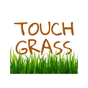 "Touch Grass Meme Sticker" Sticker for Sale by LMFDesigns | Redbubble