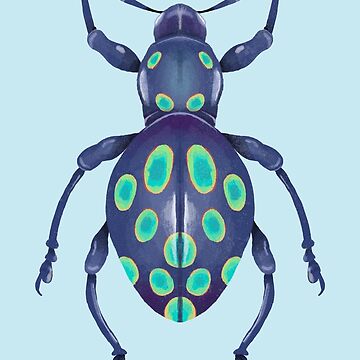 "Rainbow Weevil with Blue Spots" Sticker for Sale by narwhalwall ...