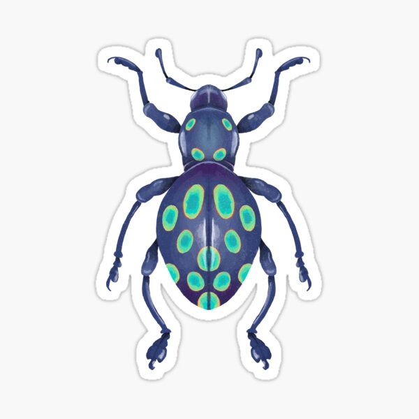 "Rainbow Weevil with Blue Spots" Sticker for Sale by narwhalwall ...